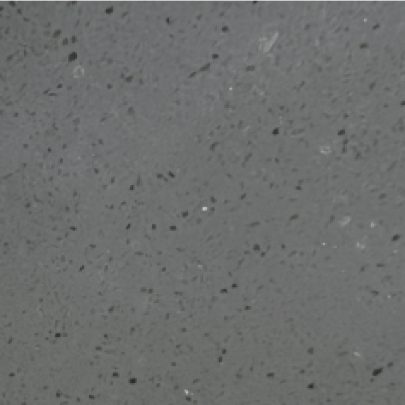 Solid Surfaces